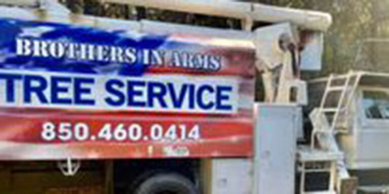 5 Important Questions To Ask Tree Removal Service Experts 5-important-questions-to-ask-tree-removal-service-experts